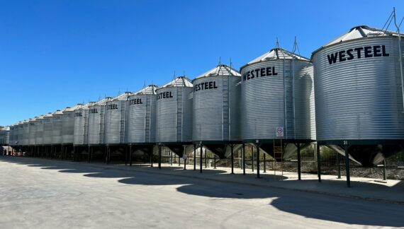 Home - South Island Seed Dressing